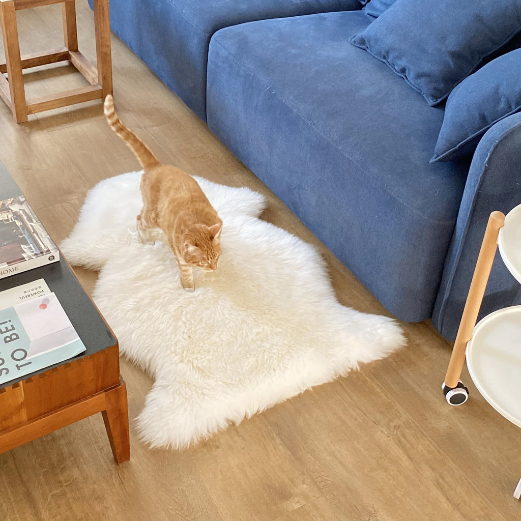 Sheepskin Rug 2x3ft 100% natural Australian merino sheepskin Silky Sof ...